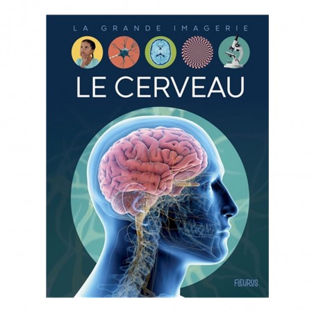 Le cerveau - Album Cathy Franco Jacques Dayan , Audrey Bussi
